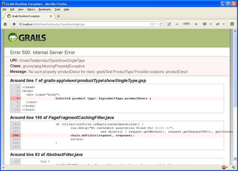 No Such Property But Grails Sees It And Gives A Possible Solution