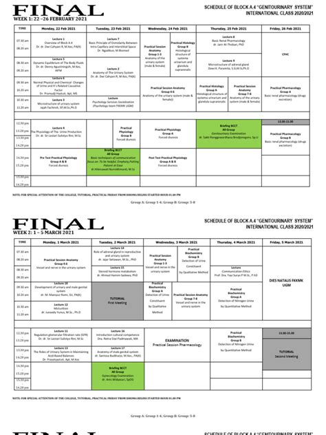 Jadwal Ya Pdf Urinary System Sex Organ
