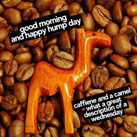 30 Hump Day Memes To Help You Laugh Thru Wednesday