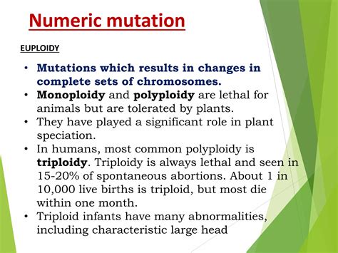 Mutation Gene And Chromosomal Pptx