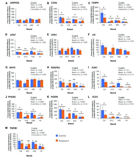 absolute transcript abundance of 13 target genes associated with