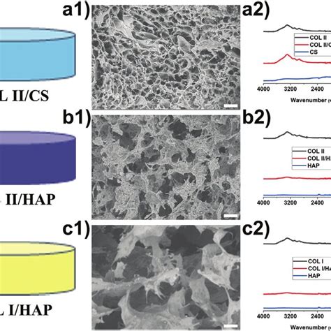 The Design For The Tri Layered Scaffold For Osteochondral Tissue Repair Download Scientific