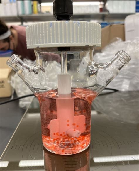 Marine Sponge Cells In 3d Could Ramp Up Production Of Novel Drug