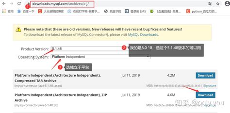 kettle数据库操作报错Couldn t get field info from eclipse和hive连接MySQL数据库缺少驱动包问题 知乎