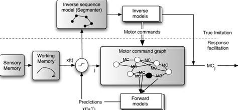 The Proposed Model To Map Perceptual Representations In The Working Download Scientific
