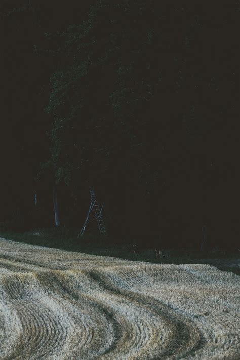 590 730 — Richard Weingarten On Glass Photography Community