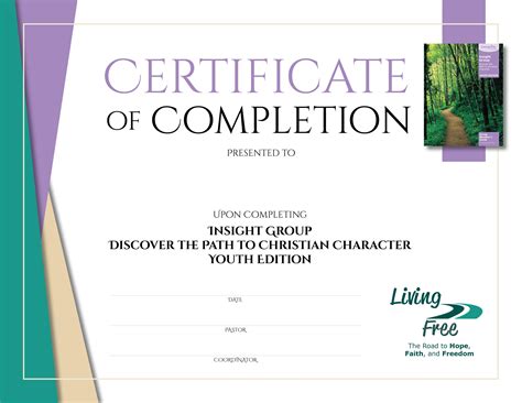 Insight Youth Ed Certificate Of Completion Living Free