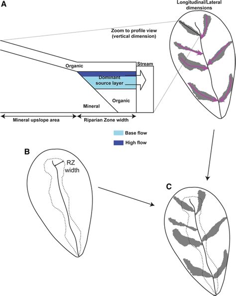 A Pattern Of Hydrological Connectivity In A Hypothetical Headwater