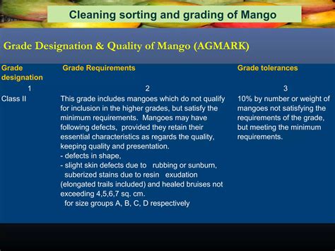 Cleaning Sorting And Grading Of Mango 1 Ppt