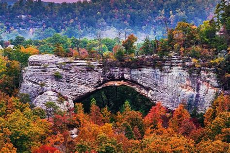 Hidden River Gorges Of Kentuckys Red River Gorge Touristsecrets