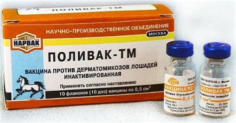 Лучшая вакцина для собак на 2025 год