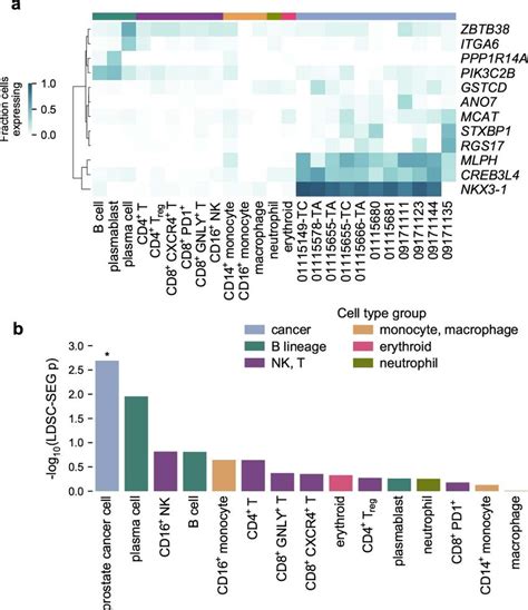 Germline Heritability For Prostate Cancer Is Enriched Near Genes
