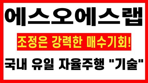 에스오에스랩 주가전망 조정은 강력한 매수기회 국내 유일 자율주행 기술 부각 Youtube