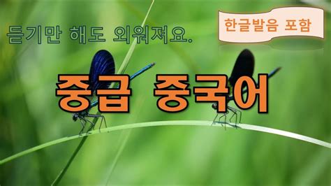 중급 중국어 듣기만 해도 외워지는 유용한 중국어 문장 Youtube