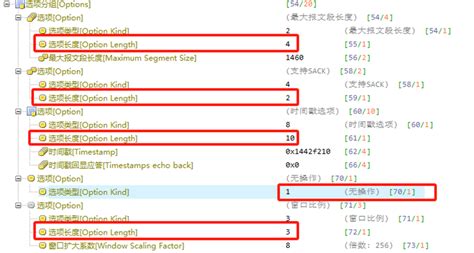 Tcp流量分析06——tcp选项（转载） Csdn博客