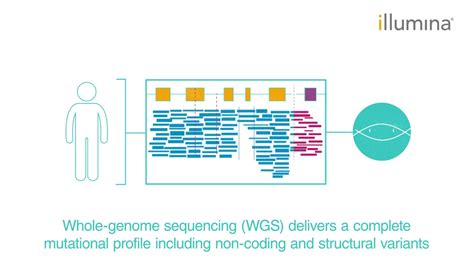 mutation profiling with whole genome sequencing wgs methods guide