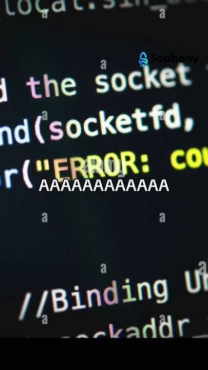 my life as a programmer developer funfacts programmingmemes