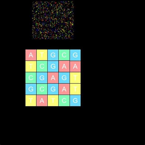 Schematic Diagram Of Sequencing Principle Download Scientific Diagram