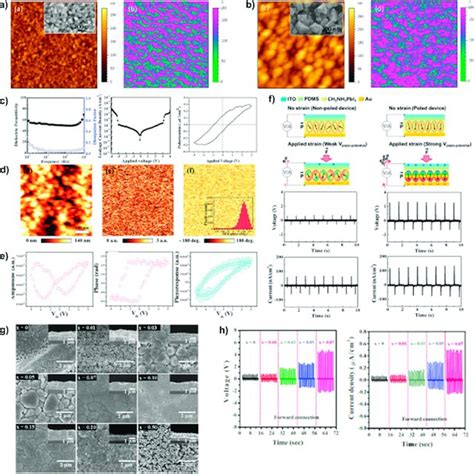 A Schematic Representation Of The Chain Conformation For The α β And Download Scientific