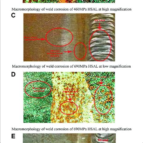 Weld Corrosion Morphology Of Hsal With Different Alloy Compositions