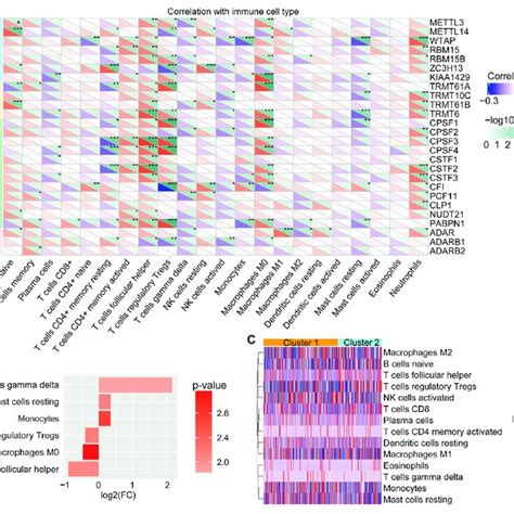 Rna Methylation Modification Pattern And Related Biological Pathways