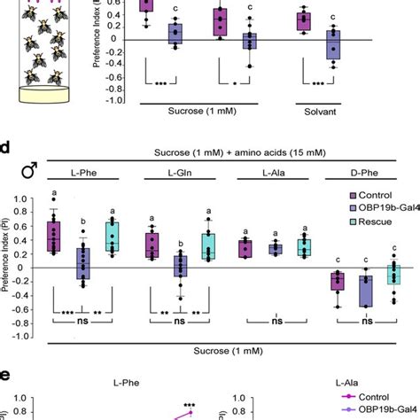 Amino Acid Taste Preference A Schematic Representation Of The Cafe