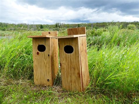 Fwcp Waterfowl Nesting Structure Enhancement Blackbird Fwcp Waterfowl Nesting Structure Enhancement Blackbird