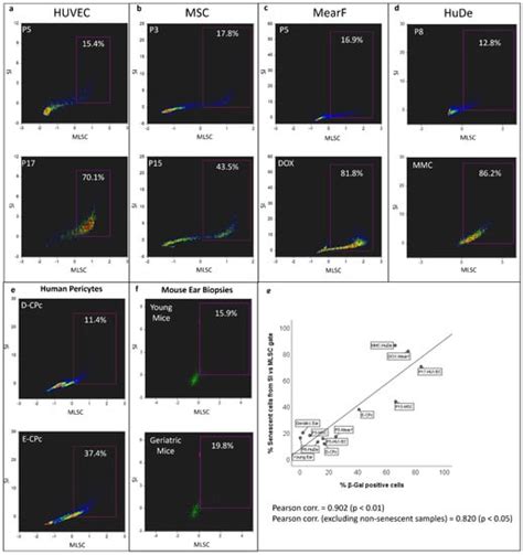 Cells An Open Access Journal From Mdpi