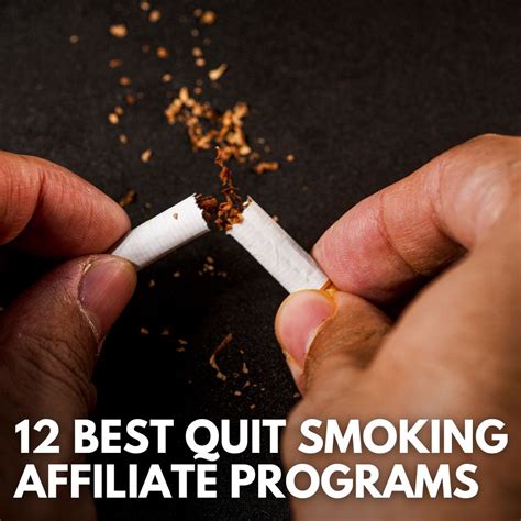 12 Best Quit Smoking Affiliate Programs Systems Strategies And Products Commission Academy