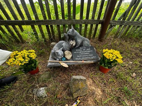 Cristian Critelli On Linkedin Inlovingmemory Cherisheverymoment