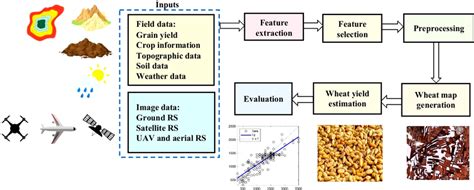 Flow diagram of the wheat yield prediction | Download Scientific Diagram
