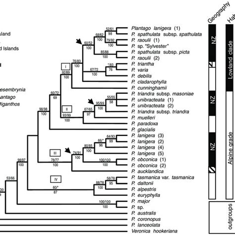 Maximum Likelihood Ml Tree Reconstructed Using Concatenated Data