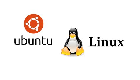 GitHub Alma Mahmoudi Python LVGL Objectif