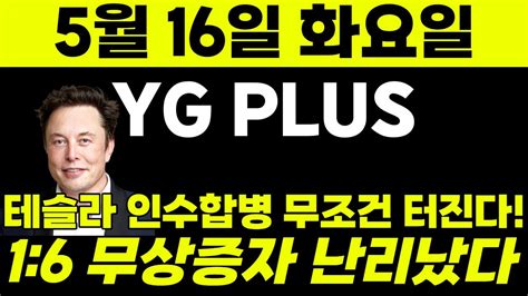 Yg Plus 16 무상증자 터졌다 화요일 오후 3시까지 당장 매수하라 아침 시초가 부터 10연상 터진다yg Plus