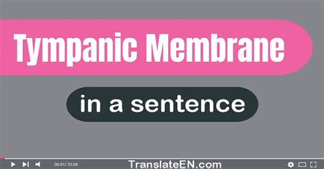 Tympanic Membrane In A Sentence