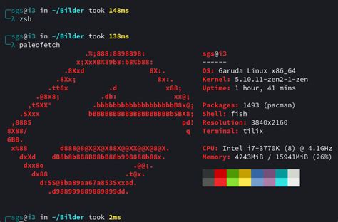 Zsh Segmentation Fault Issues And Assistance Garuda Linux Forum