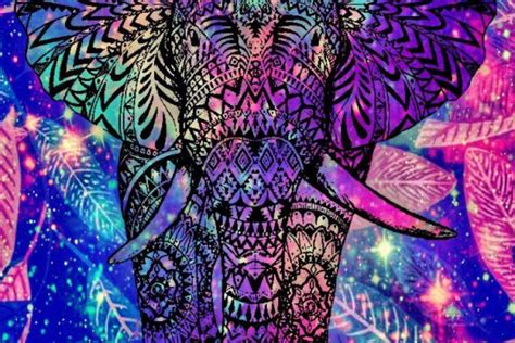 Mandala Elephant Wallpapers Top Free Mandala Elephant Backgrounds