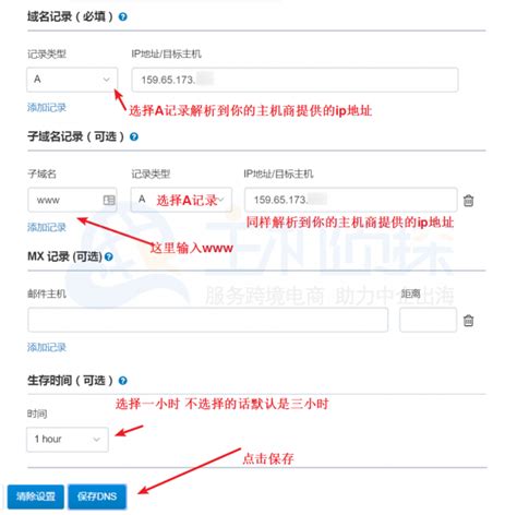 Dynadot使用教程