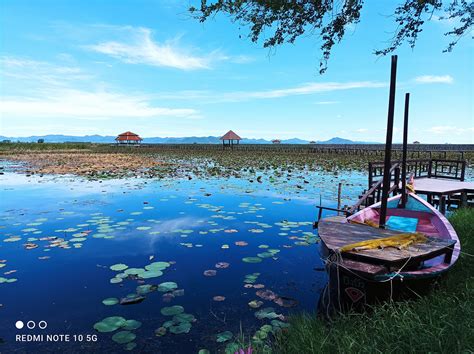 Redmi Note G G Hz Specphone Com