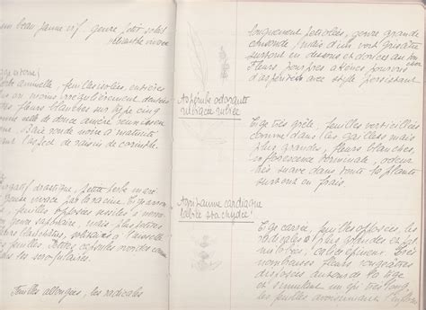 Wu Xing The Five Elements Wu Xing The Five Elements