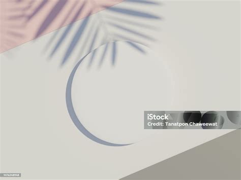 3d는 야자수 잎과 흰색 파란색 배경의 그림자가 있는 제품을 모형하고 표시하기 위해 흰색 빈 실린더 프레임의 평면도를 렌더링합니다 0명에 대한 스톡 사진 및 기타 이미지