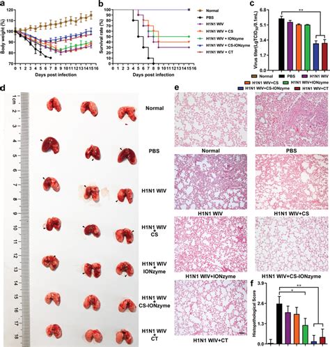 Intranasal Immunization With Cs‐ionzyme‐based Influenza Vaccine Download Scientific Diagram