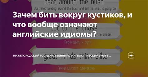 Зачем бить вокруг кустиков и что вообще означают английские идиомы Нижегородский