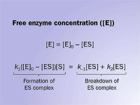 functions of proteins презентация доклад проект скачать