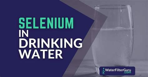 The Dangers Of Selenium In Drinking Water