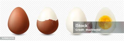 벡터 3d 현실적인 갈색 닭고기 달걀 질감이 있는 전체 금이 간 깨진 껍질을 벗긴 삶은 닭고기 달걀 노른자 근접 촬영이 분리된 삶은 닭고기 달걀 계란이 격리되었습니다 전체
