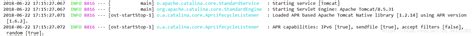 Springboot20启动日志中出现the Apr Based Apache Tomcat Native Library Which