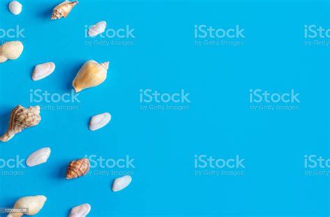 복사 공간이있는 파스텔 블루 배경에 창조적 인 다양한 조개 패턴 여름 플랫 레이 0명에 대한 스톡 사진 및 기타 이미지 0명 개념 관광 리조트 Istock