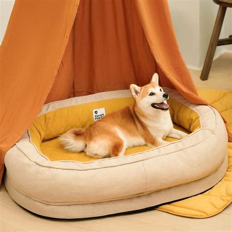 Amazon.com : FUNNY FUZZY Dog Bed for Medium Large Dogs: Orthopedic Donut Pet Beds for Dogs Cats ...