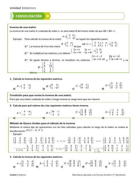 003 Cálculo De La Matriz Inversa Pdf
